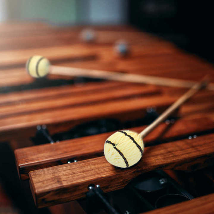 Marimba Mallets Mushroom-Shaped Yarn Head Keyboard Musical Instruments ...