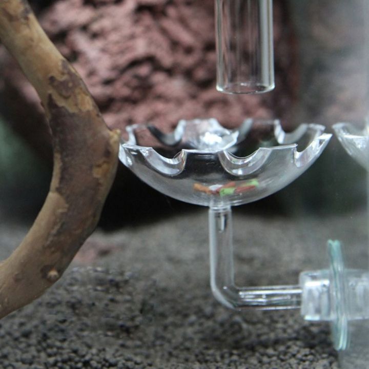 Acrylic Non-toxic Dish with Suction Cup Shrimp Bowl Feeding Tube Fish ...