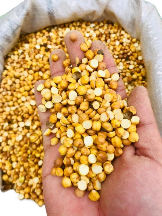 roasted chickpeas without shell in 250 grams packing, roasted chana ...