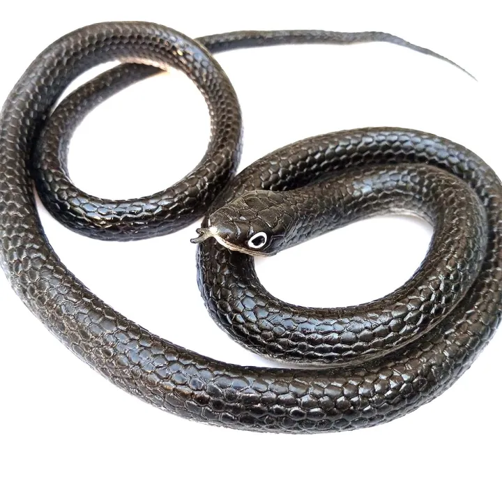 Artificial Soft Rubber Toy Snake For Prank Fun And Gift 25" inch | Daraz.pk