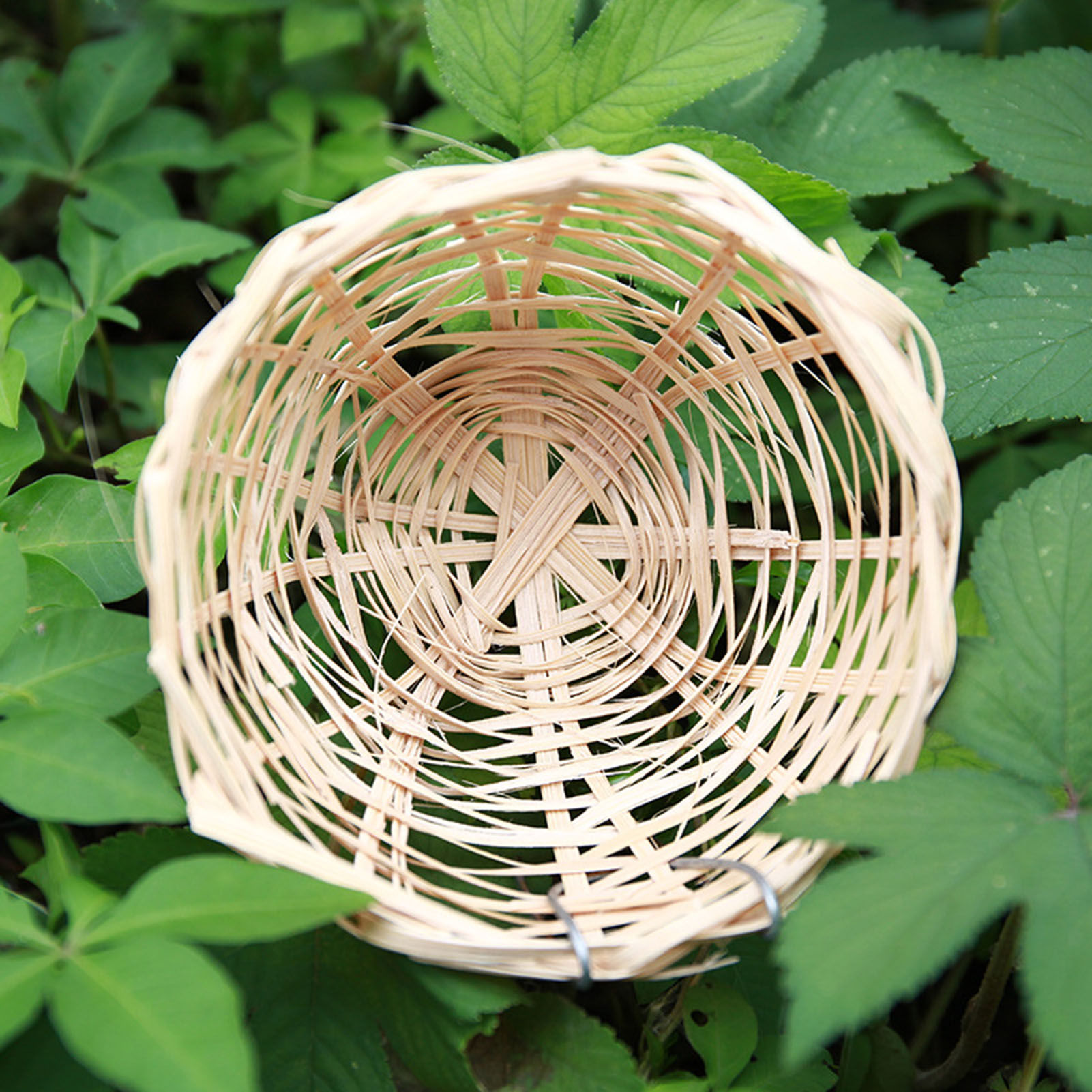 Ziwelan Bird Bamboo Nest Exquisite Pet Bird Parrot Bamboo Breeding ...