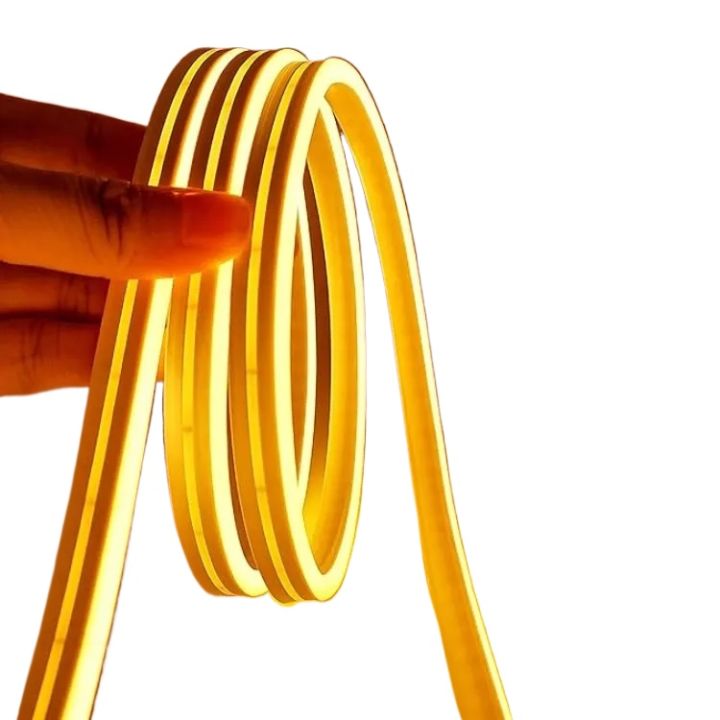 5 Meter Neon Flexible LED Light Strip 12v - IP65 waterproof - Adapter ...