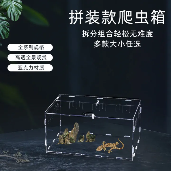 Acrylic transparent pet reptile terrarium, spider, palace lizard ...