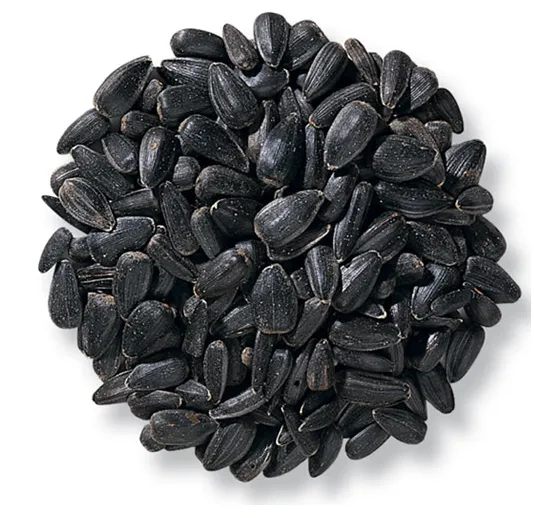 Beej (Seeds) – Healthy & Nutritious (250g / 500g / 1kg) | Daraz.pk