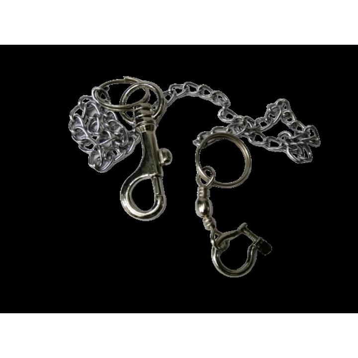 Chain With Ring For Macow And Parrots Foot Ring Foot Chain Stainless ...