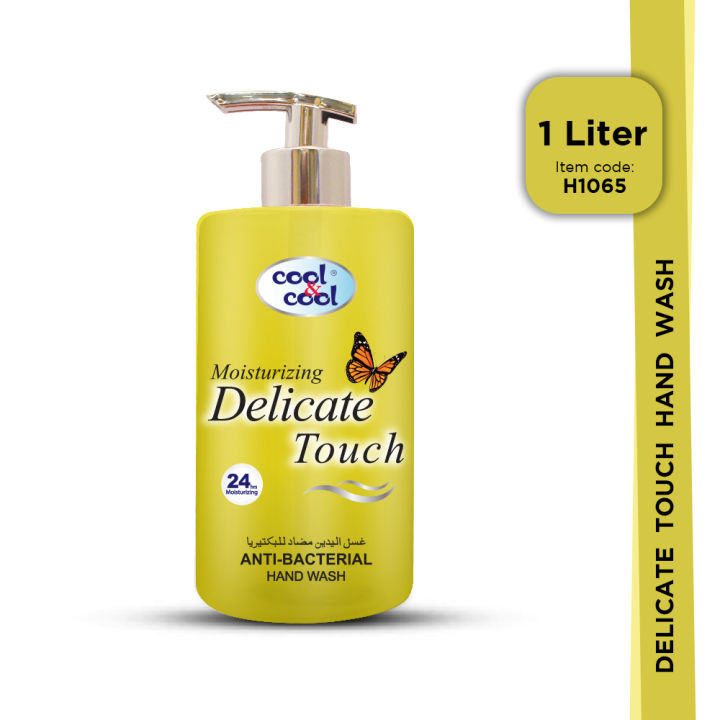 Delicate Touch Hand Wash 1Liter | Daraz.pk
