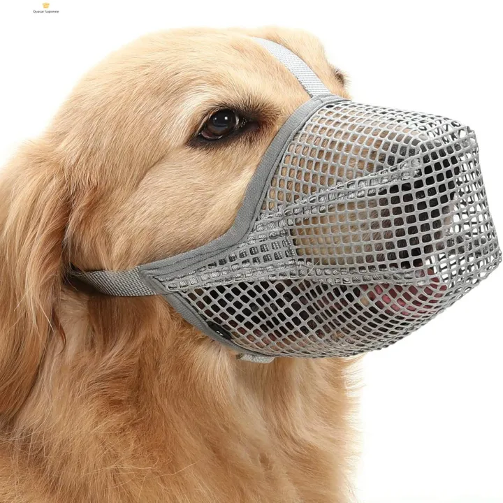 Quasar Dog Muzzle Unbound Chewing Dog Mouth Cover | Daraz.pk
