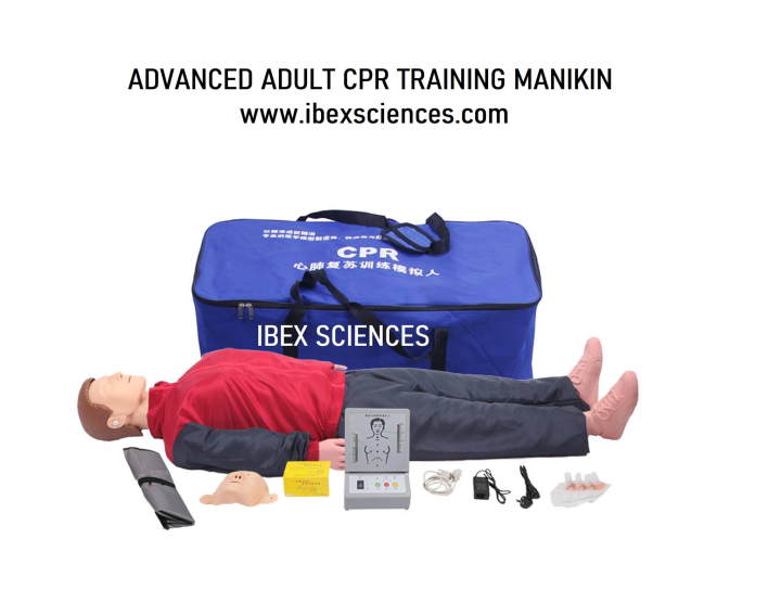 IBEX SCIENCES Advanced Adult CPR Training Manikin CPR Dummy Manikins ...