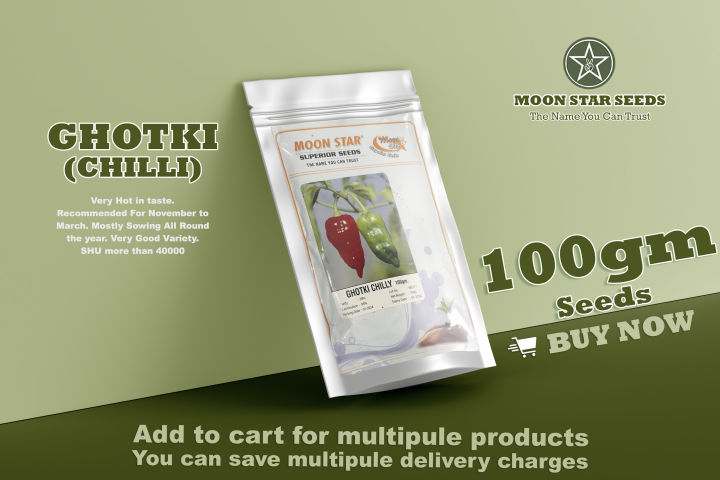 "Premium Ghotki Chilli Seeds (100gm) by Moon Star Seeds | Non-GMO, High ...
