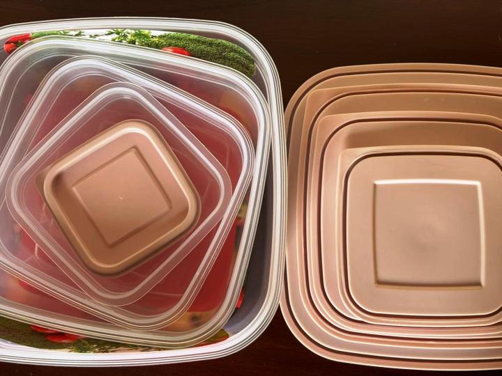 Premium Plastic Food Containers Set - 5 Containers & 5 Airtight Lids ...