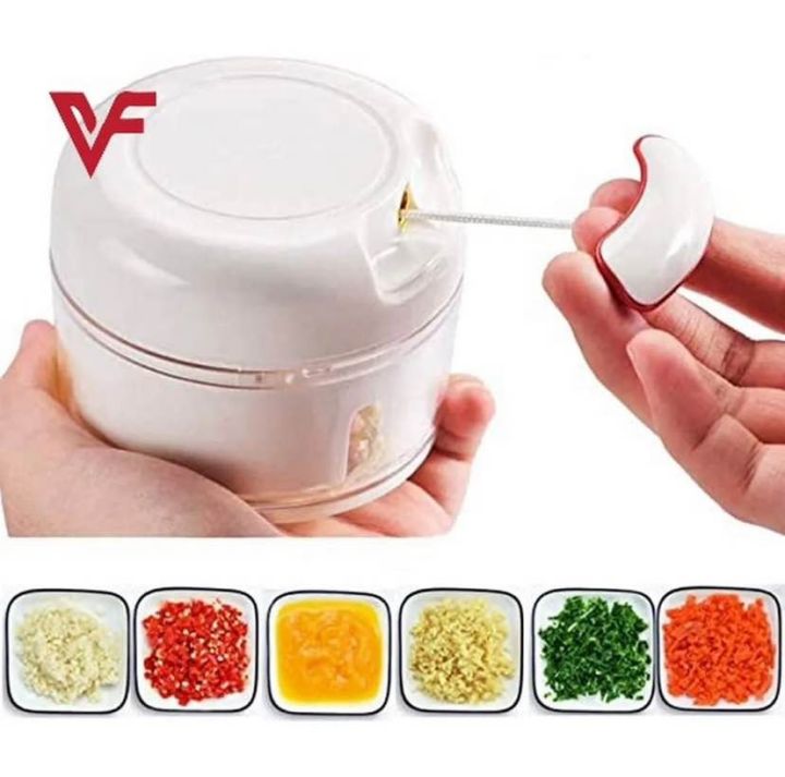 RXN Mini Garlic Slicer Household Mincing Machine Minced Hand Pull ...