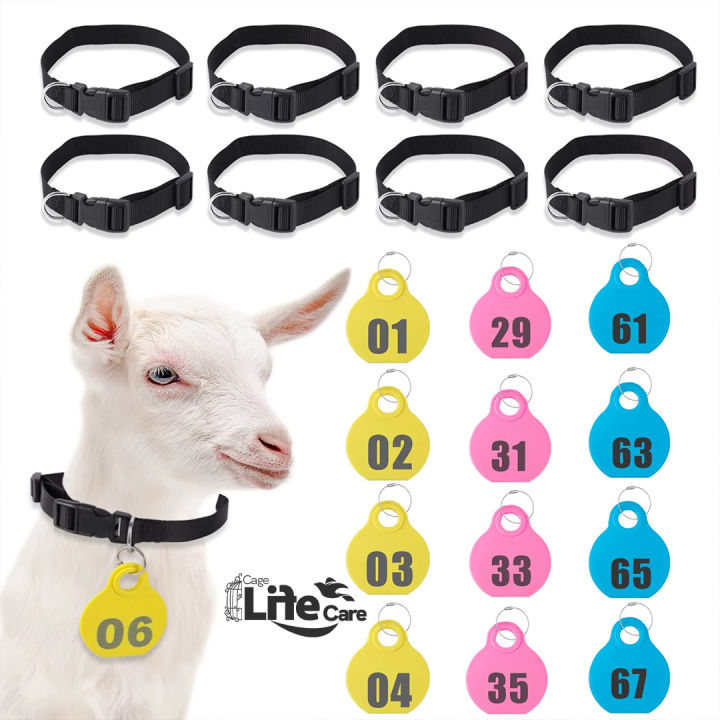 Adjustable Nylon Collar with Double-Sided Serial Number Tag for Farm ...