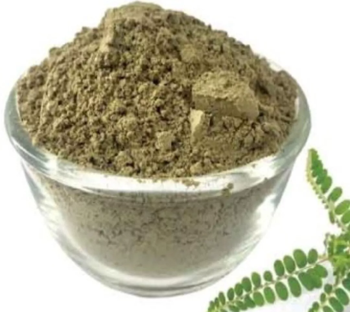 Bhumi Amla Powder- Phyllanthus Niruri-Bhumi Aamla Pure Organic Bhoomi ...