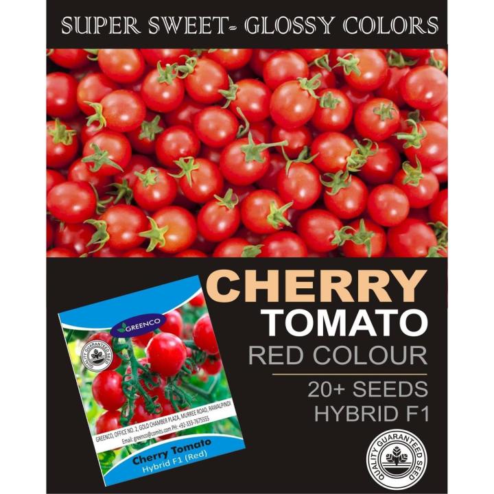 Cherry Tomato Maskotka Red Hybrid F1 Seeds Vegatable Seed | Daraz.pk