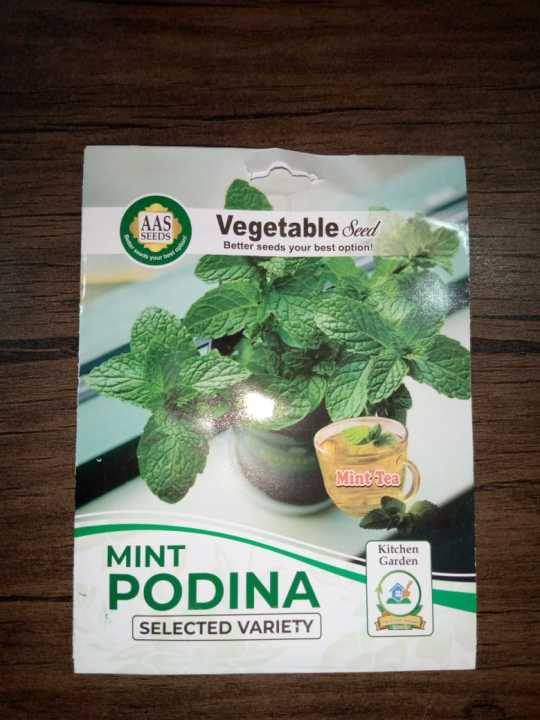 F1 Hybrid Mint Seeds By HMS Proudct | Daraz.pk