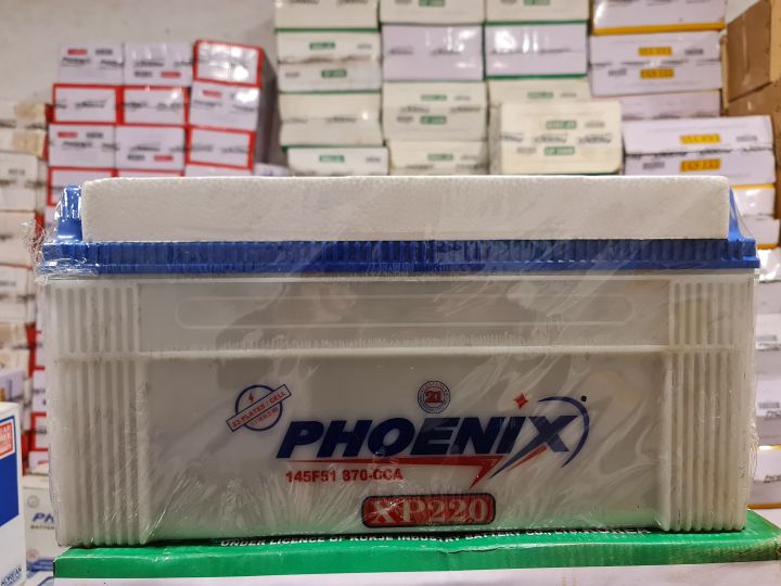 PHOENIX XP220 Heavy-Duty 12V 23 Plates UPS Battery for Solar Generator ...