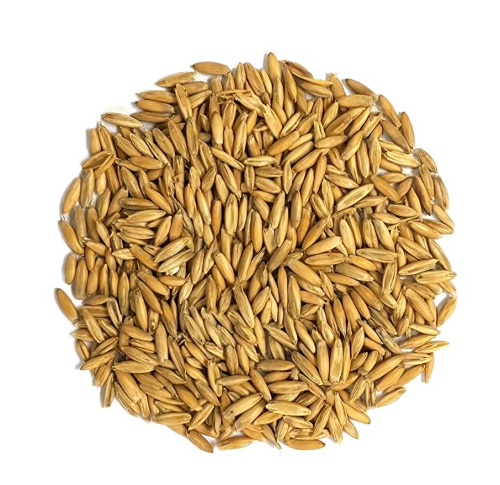 Birds Food Long Oats Seeds, Jai Seeds 1000Grams ,All Life Stages | Daraz.pk