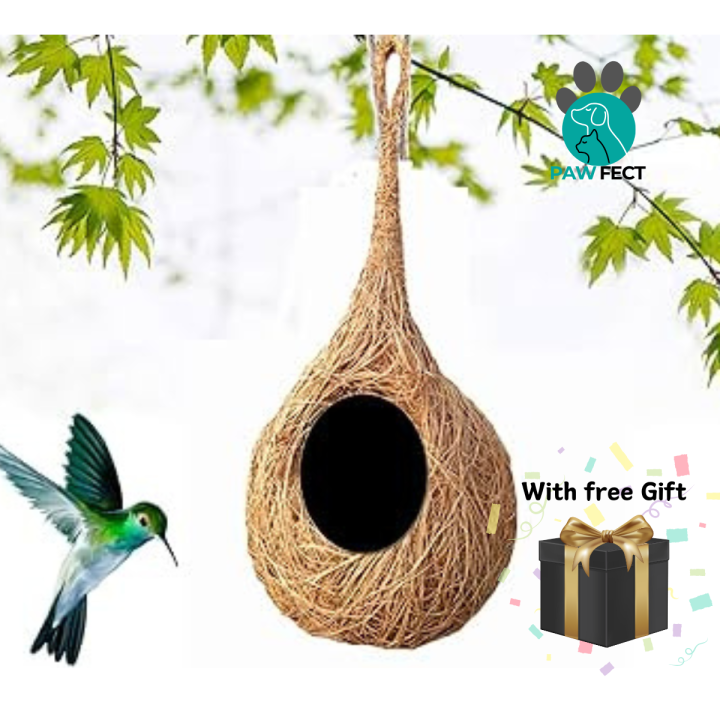 Organic Coconut Fiber Bird Nest , With Free Surprise Gift- Handmade ...