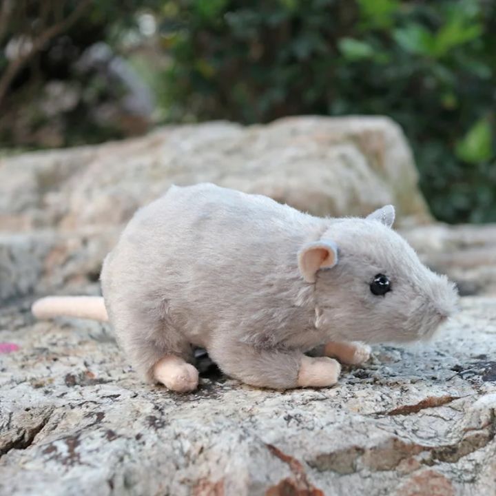 PREATY Extra Soft Real Life White Rat Plush Toys Realistic Mouse ...