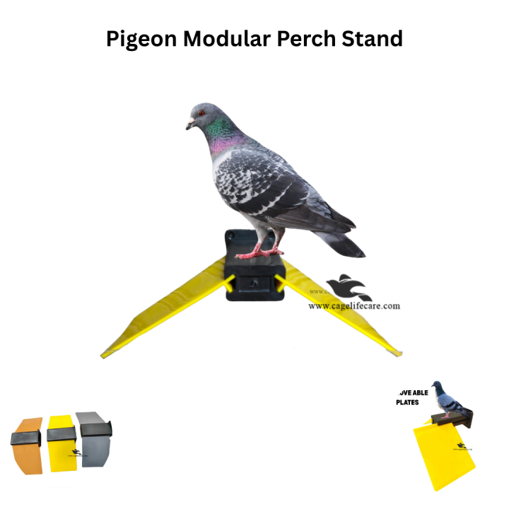 Pigeon Modular Perch Stand – Space Saving Loft Perch for Pigeons ...