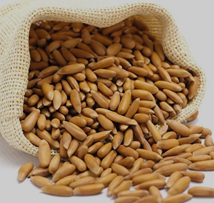 Chilgoza 100g(gram) | Best Quality Dry Fruit | Daraz.pk