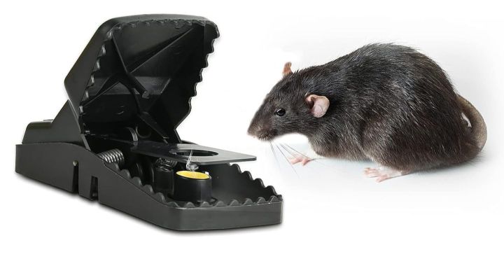 Mouse Trap High Quality Plastic Mice Catcher with Stainless Steel ...