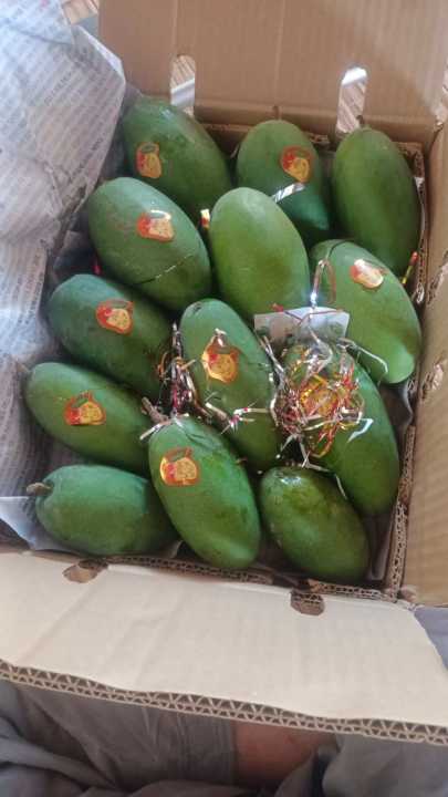 Multani Dusari Mango Export Quality Box (08-09 KG Packing) | Daraz.pk