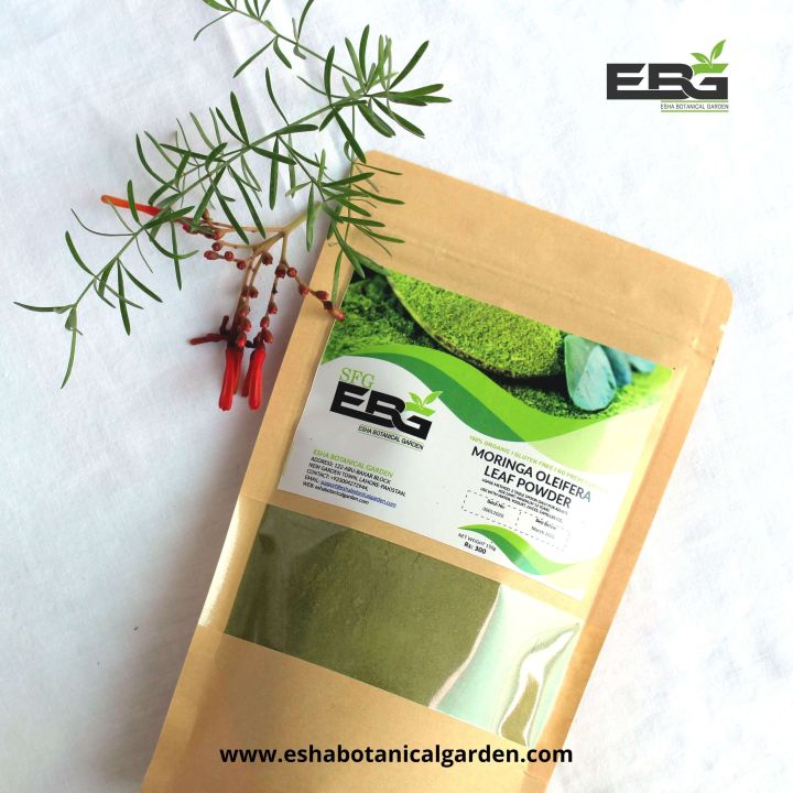 Moringa Oleifera Leaf Powder - A Super Food (Suhanjna k patton ka ...