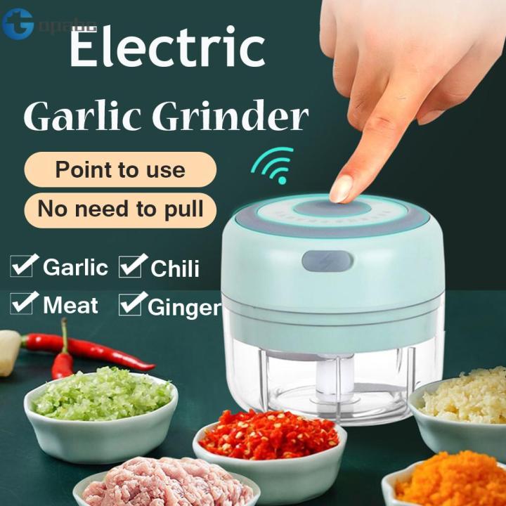 One-button Operation Electric Mini Food Chopper 250ML | Daraz.pk