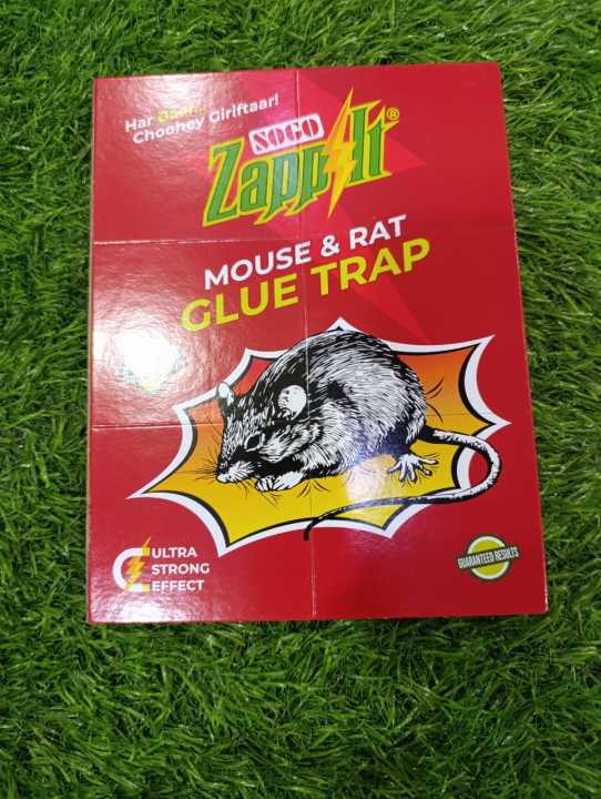 Rat Glue Book/ Mouse tracker/ mouse cage book/ chohe ki glue book ...