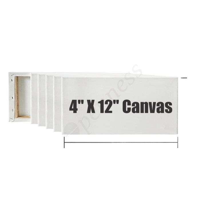 Openness Custom Sizes Primed Canvas, Size 4x12, Best for Painting and ...
