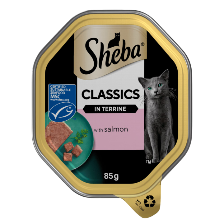Sheba Cat Food In Terrine With Salmon - 85gm | Daraz.pk