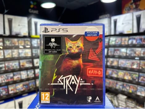 Stray PlayStation 5 Game for Ps5 | Daraz.pk