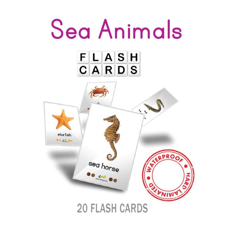 SEA ANIMALS FLASH CARDS - 8015 | Daraz.pk