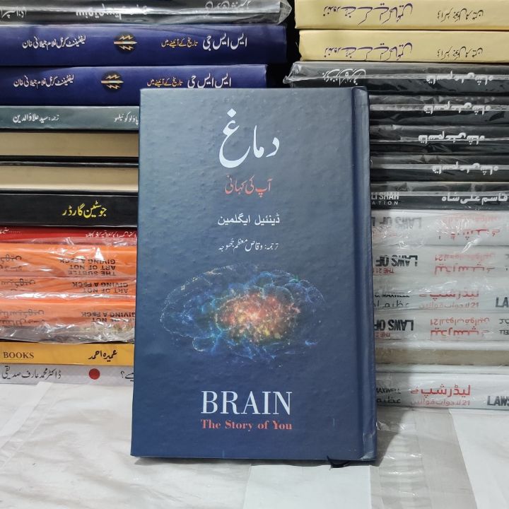 Brain: The Story Of You Urdu Translation | Daraz.pk
