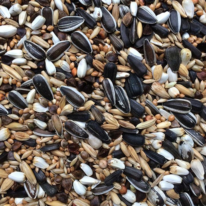Mixed bird food Feed seeds Cocktail lovebirds fisher parrots (pack of 1 ...