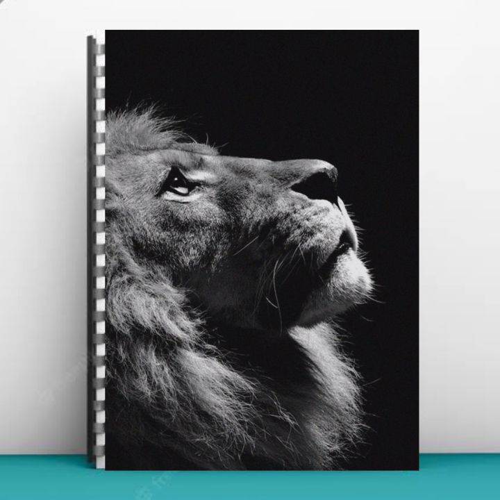 LION A4 SIZE NOTEBOOK ARTICLE 2 (4768) | Daraz.pk