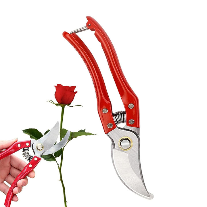 Flowers Cutter Professional Hand Pruner & Plant Branch Cutter Tree ...