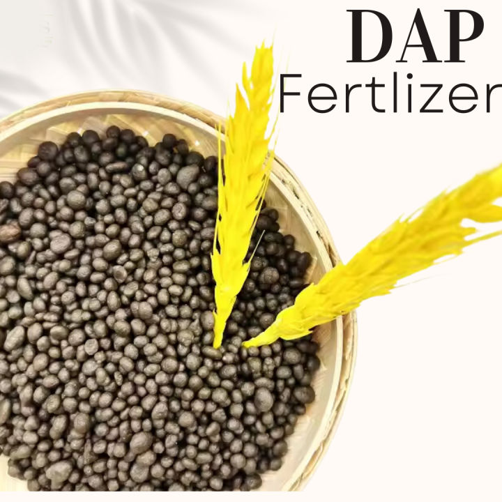 DAP Fertilizer 1 Kg Pack – High-Quality Water-Soluble Diammonium ...