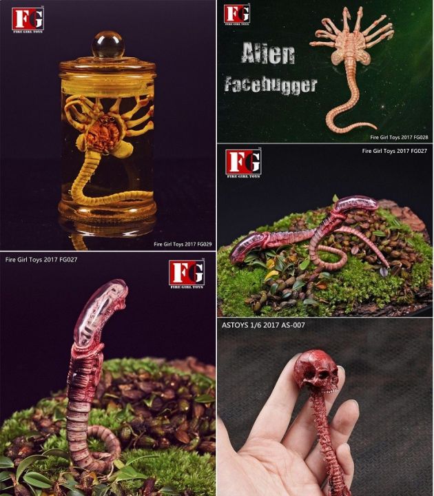 Spot 1/6 Soldier Predator Alien Contract Larva Pickup Face Bug Scene ...