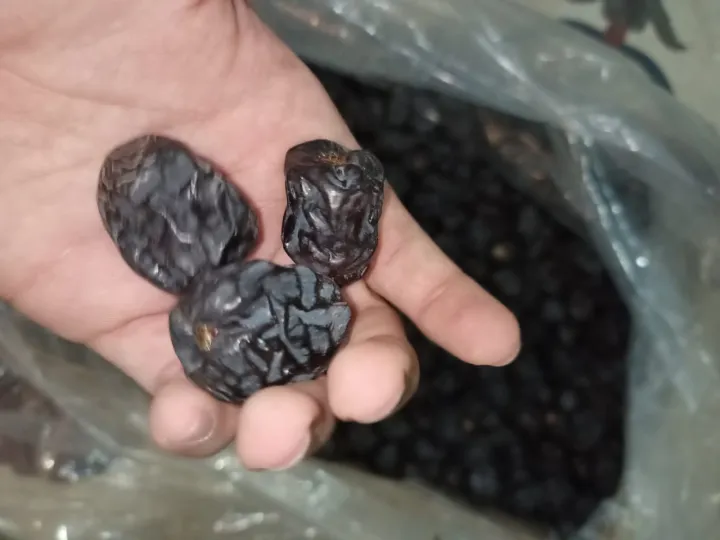 Ajwa Dates Khajoor 1kg (1030g) pack Saudi Arabia Fresh 2025 Imported ...