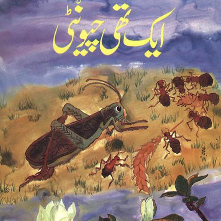 Aik Thi Chunti by Ferozsons | Daraz.pk