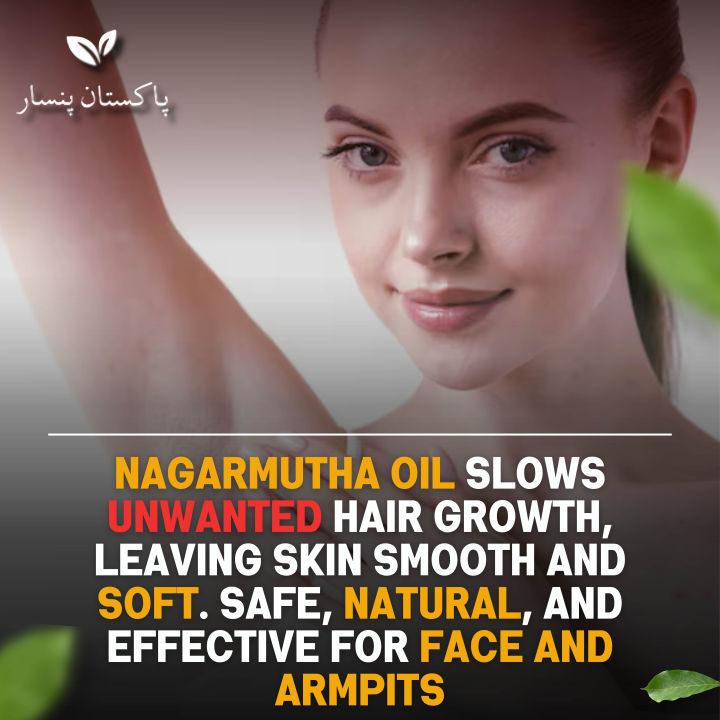 Nagarmotha Oil Cyperus Rotundus Oil Premium Quality Body Hair Growth ...