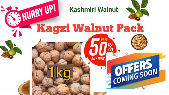 Premium Kagzi Walnut in Shell (Sabut Akhrot) (1 Kg) | Daraz.pk