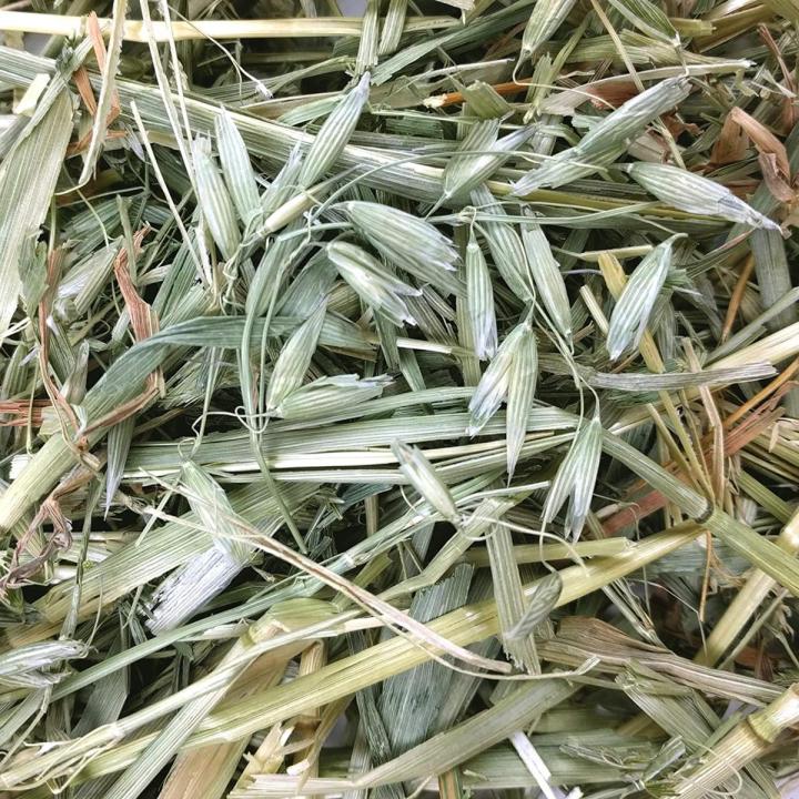 Oxbow Animal Health Oat Hay - All Natural Hay for Rabbits, Guinea Pigs ...