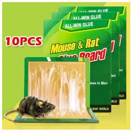 PACK OF 10 - Mouse Rat Glue Traps, New Version Strongly Adhesive, Mouse ...