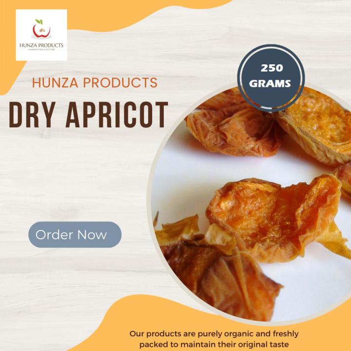 Hunza Apricots Sun Dried Natural Apricot Khubani 250 Grams 1/4 KG ...