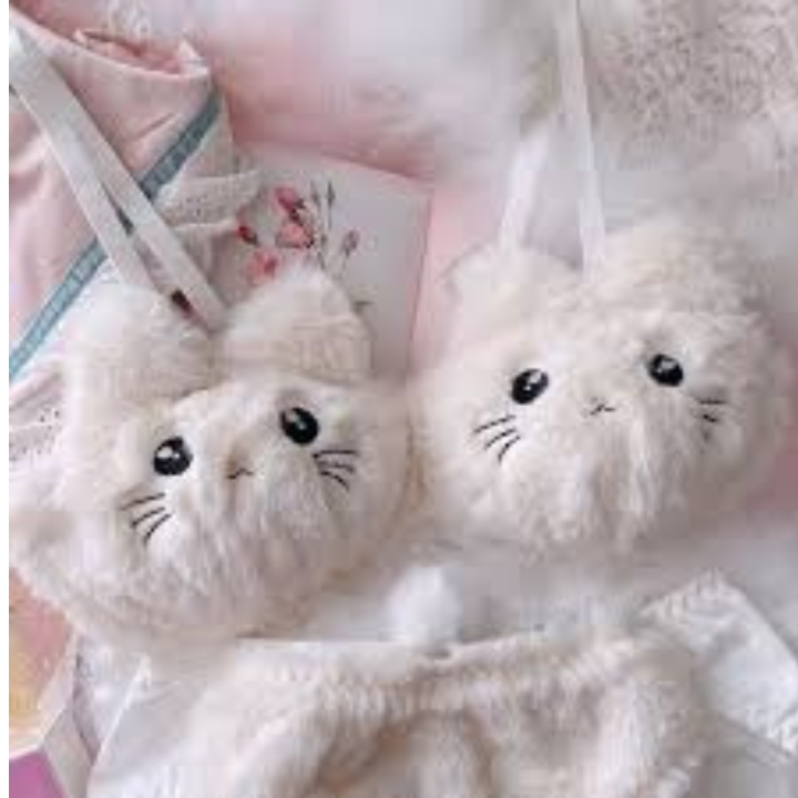 Cute Kitty Anime Bra & Panty Set Soft Plush Padded Comfortable Lingerie ...