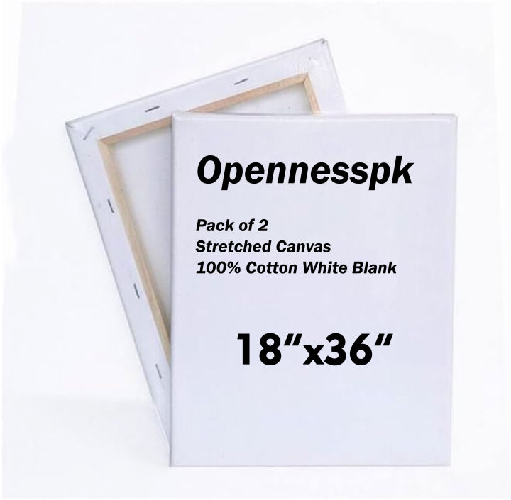 Openness - Pack of 2 Primed Canvases Rectangular Sizes - For Painting ...
