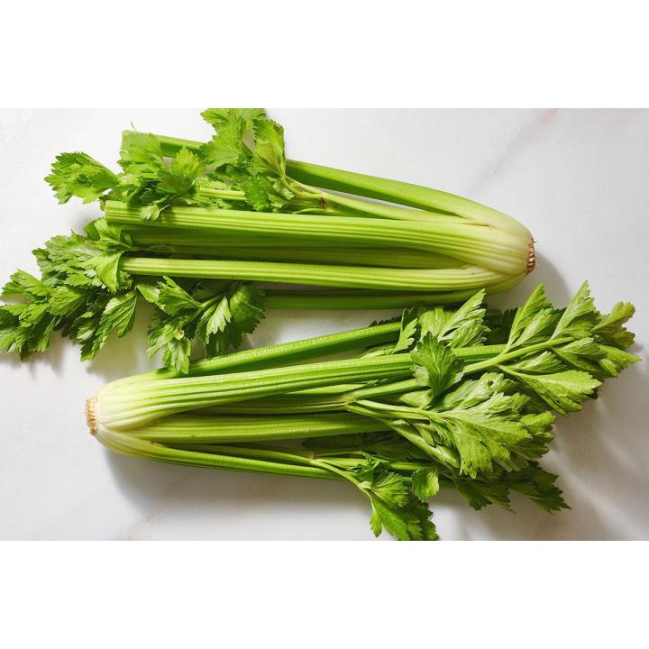 Celery (100 Plus seeds) | Daraz.pk